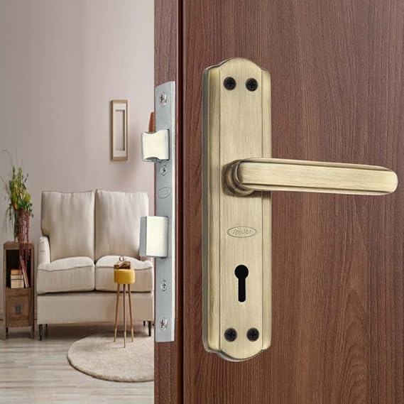 How to maintain door locks